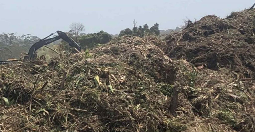 About – New Earth Mulch & Compost